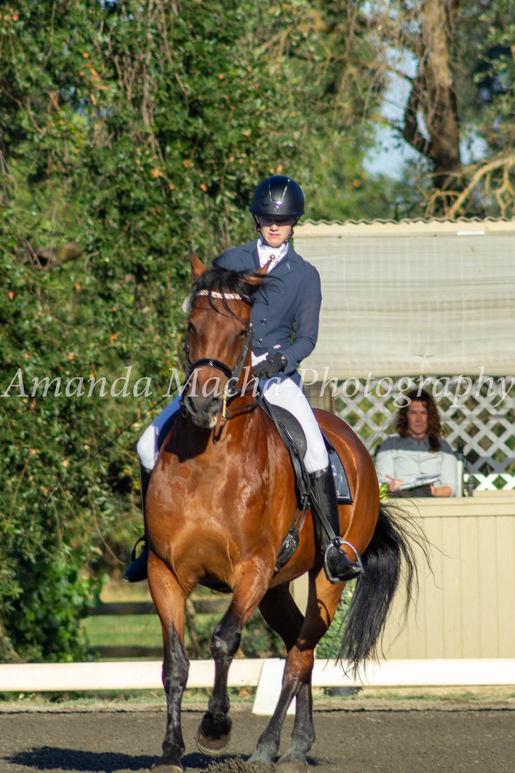 PEC Schooling Show 8/7/22 - Amanda Macha Photos